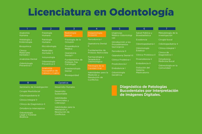 Total 90+ imagen cuantos semestres tiene la carrera de odontologia ... Total 90+ imagen cuantos semestres tiene la carrera de odontologia ...